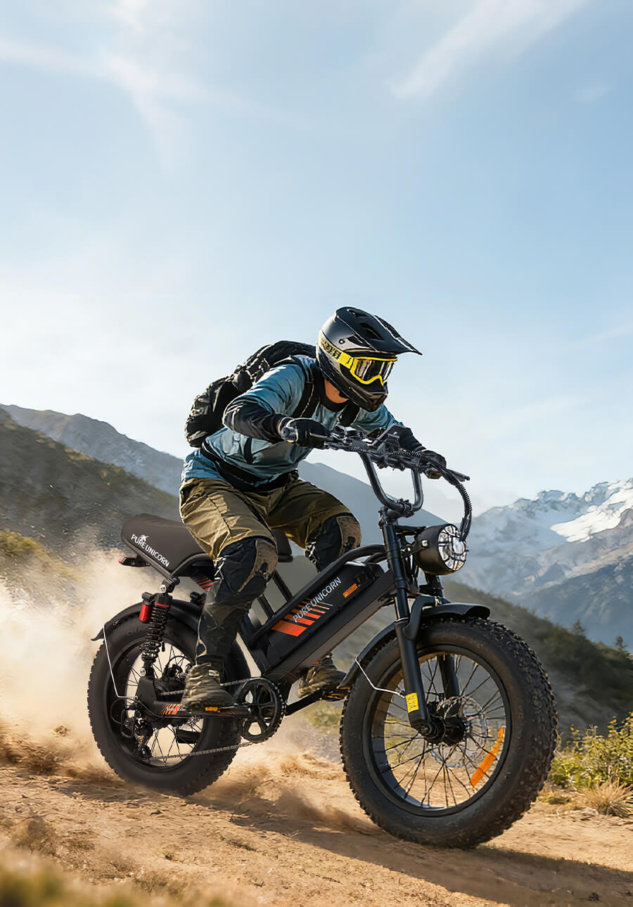 Moped-Styled E-Bikes for City Commuting | PURE UNICORN